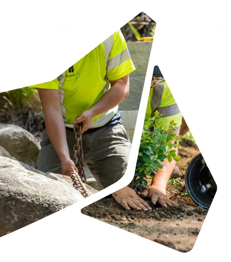 Our Services | Rockscape